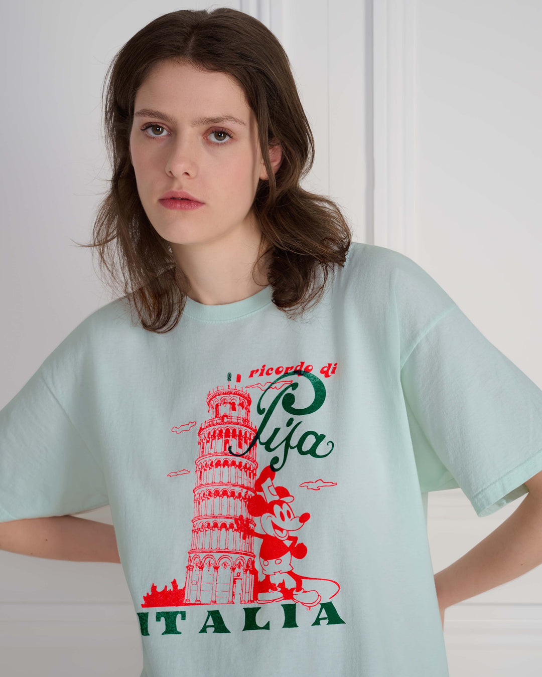 Pisa T-Shirt – Wild Donkey