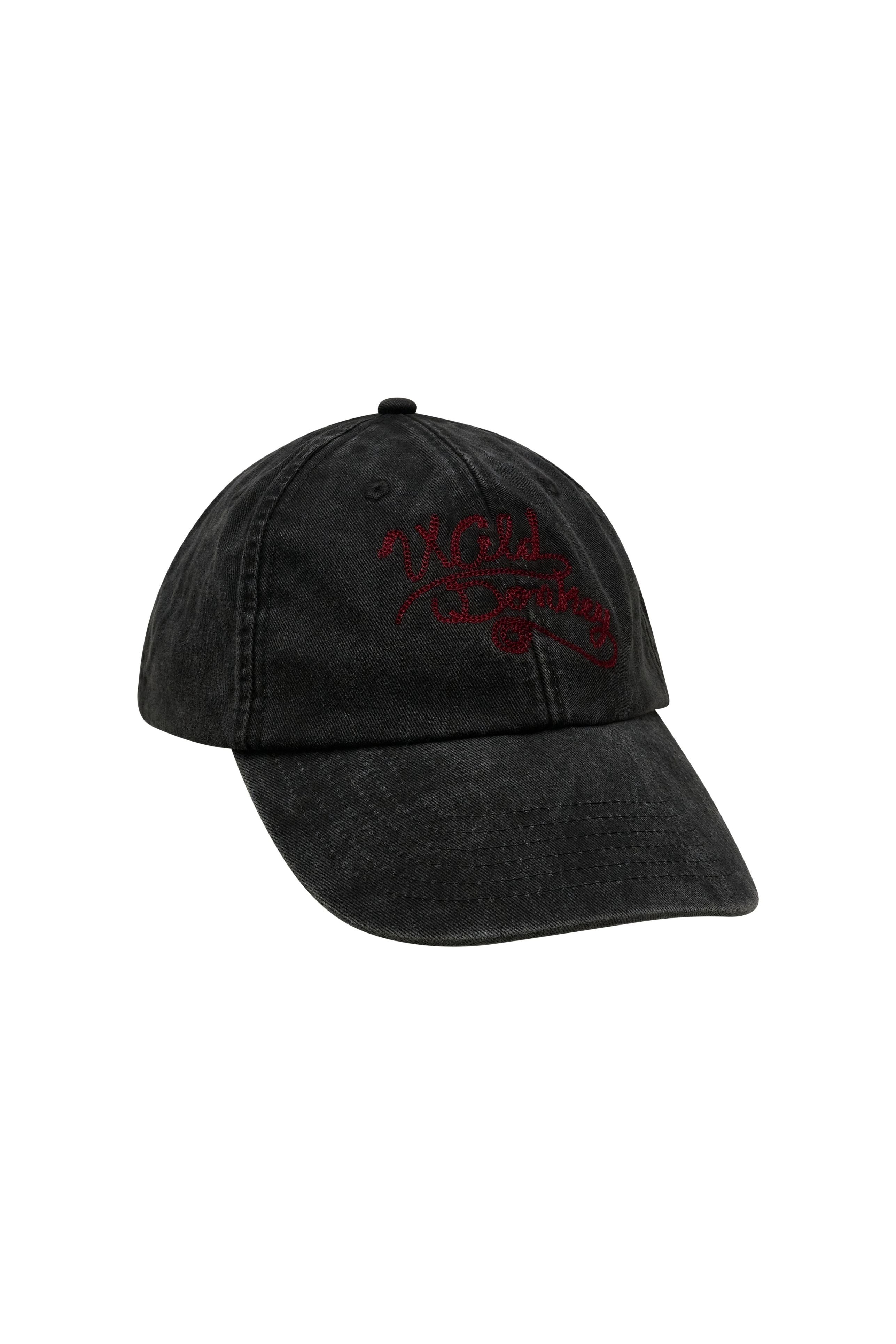Vinny Cap – Wild Donkey